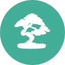 Sensei LMS Demo Site